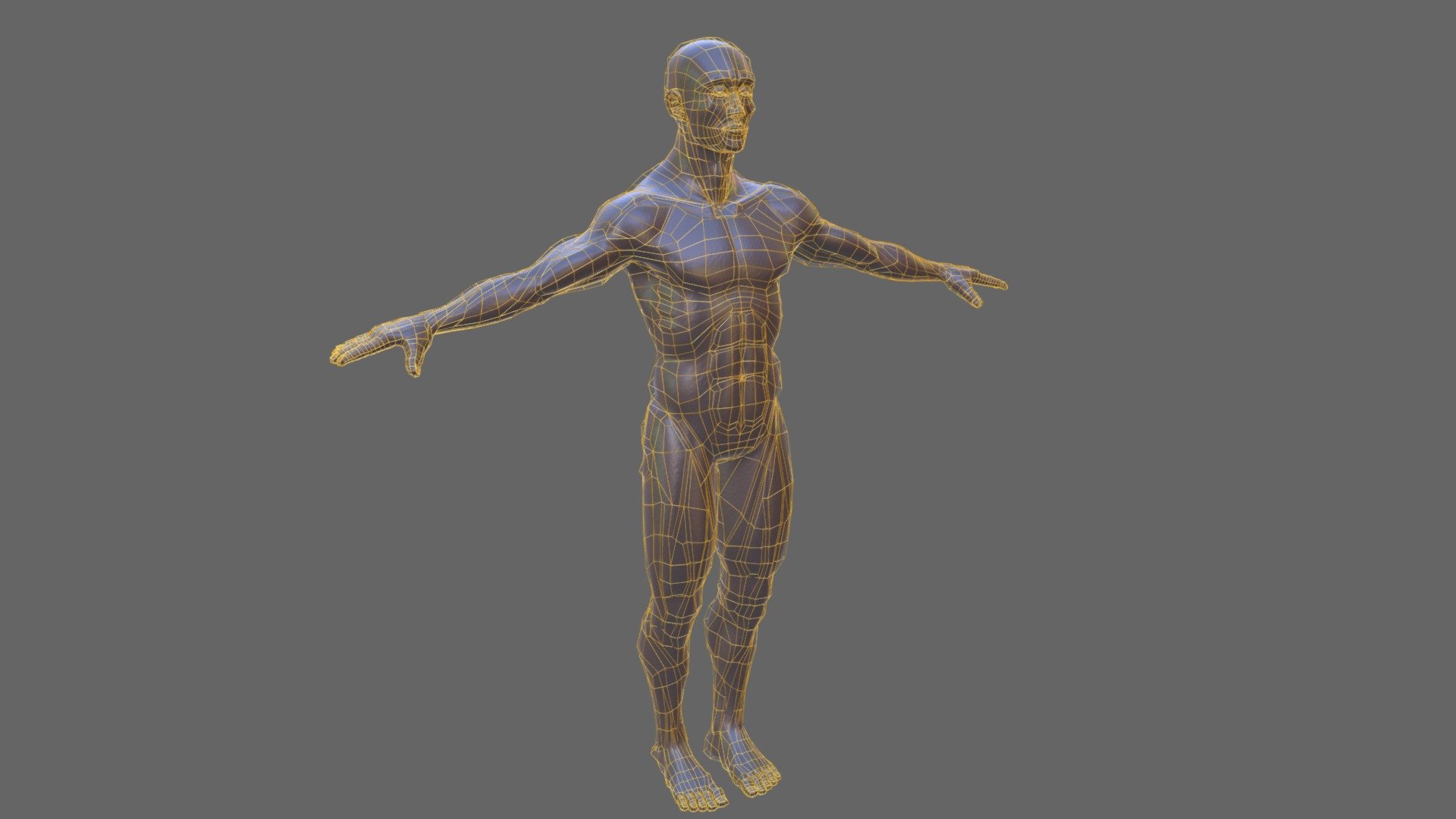 Male Model - 3D model by shaktivrat [c9bda32] - Sketchfab
