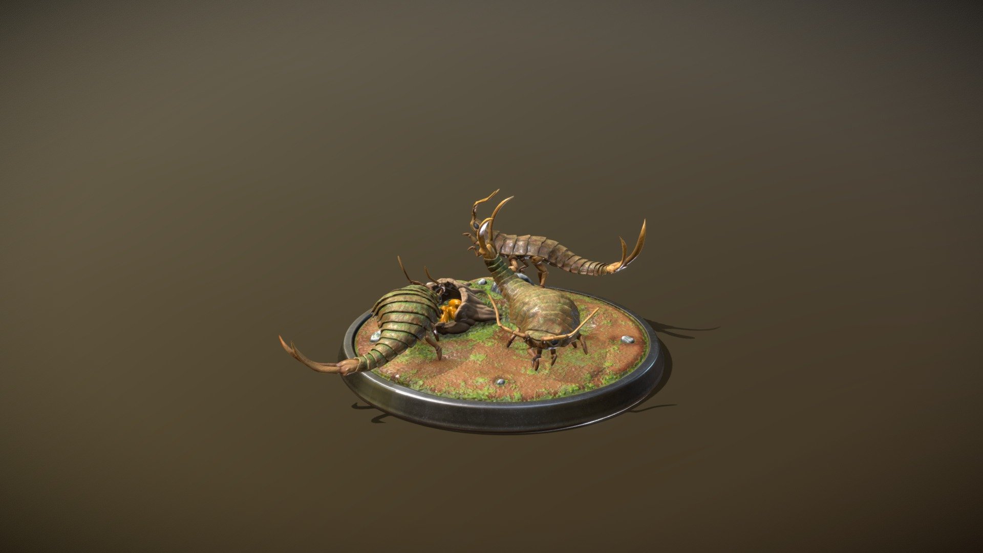 Pet Isopod_Display Platform_Mossy Back Stages - Download Free 3D model ...