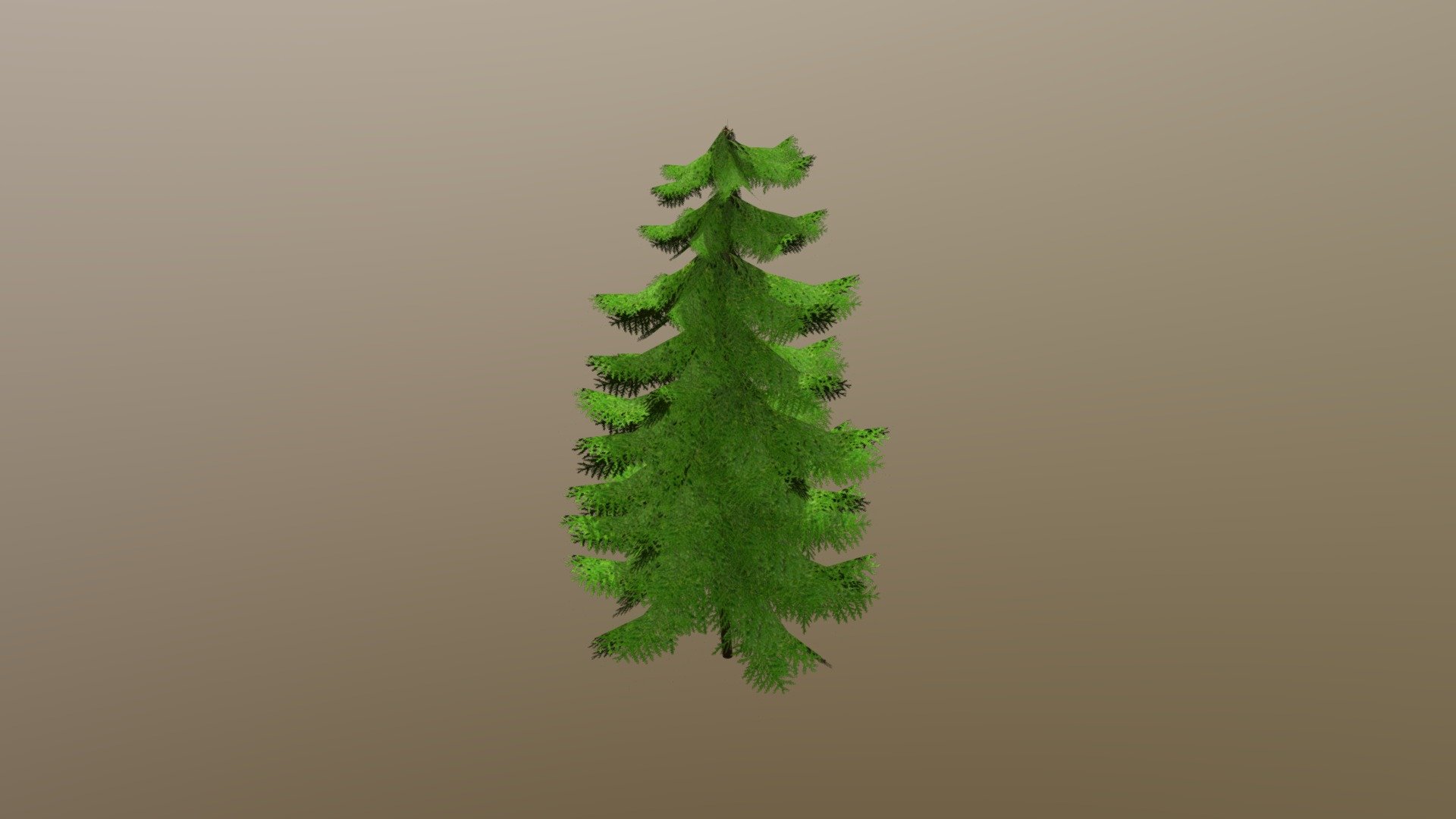 Fir Tree - 3D model by jordangamedeisgn [c9d0458] - Sketchfab
