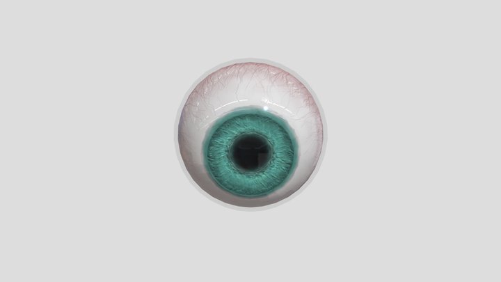 Eyeball 3D models - Sketchfab