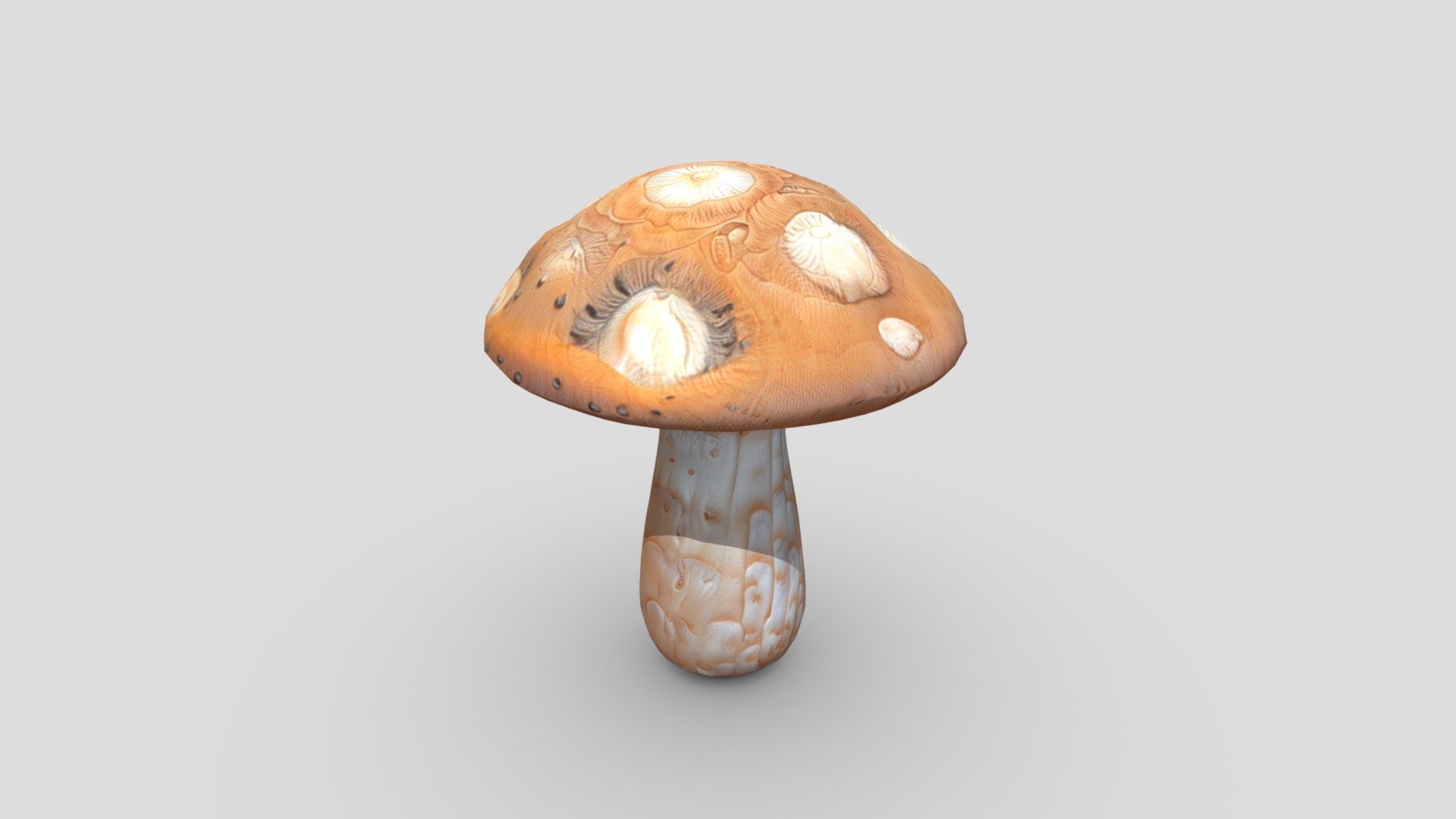 CC0 - Mushroom 2 - Download Free 3D model by plaggy [c9dba02] - Sketchfab