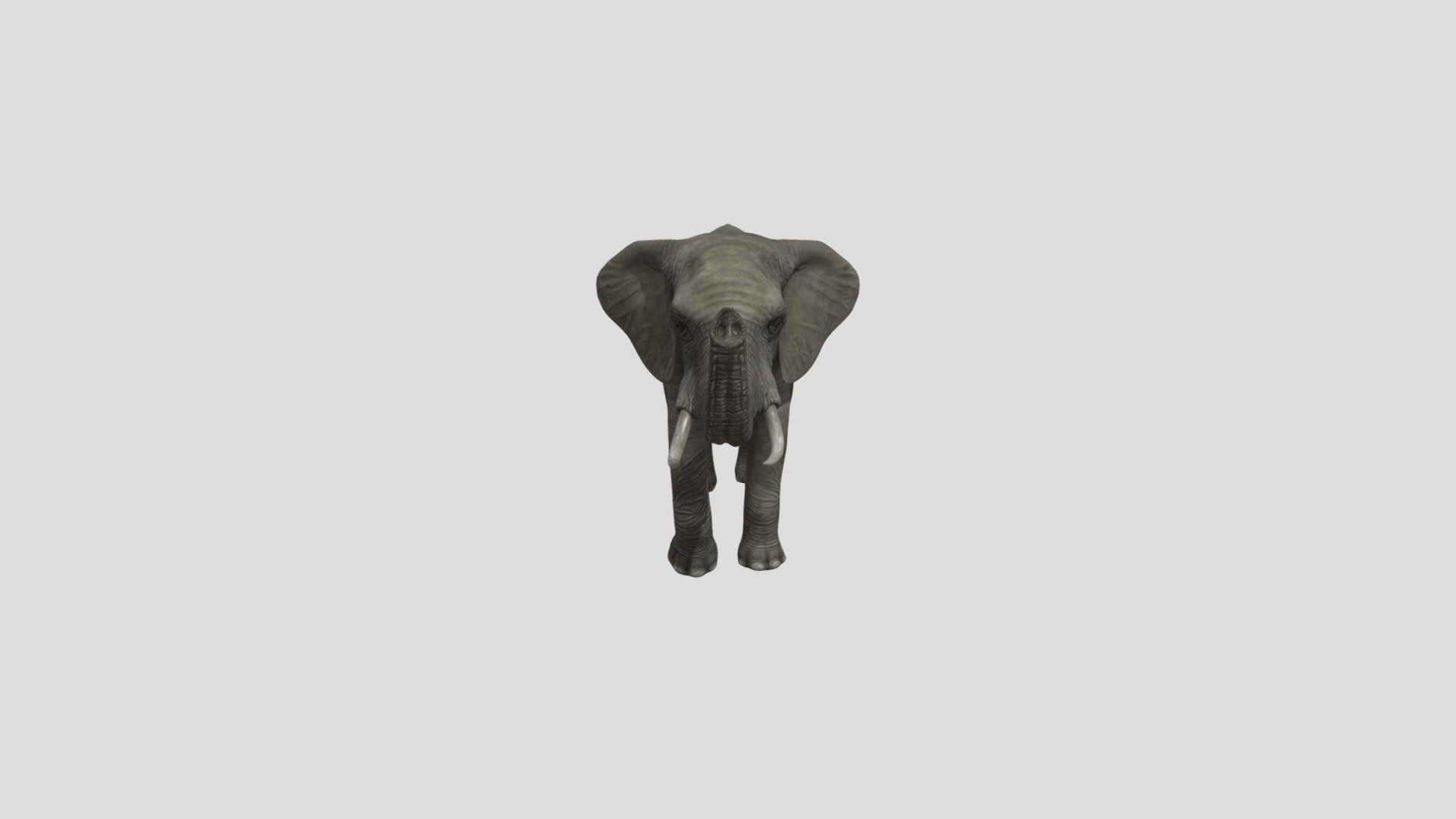 Elephant - Download Free 3D model by all of life (@Xfdfgd) [c9dc0d4 ...