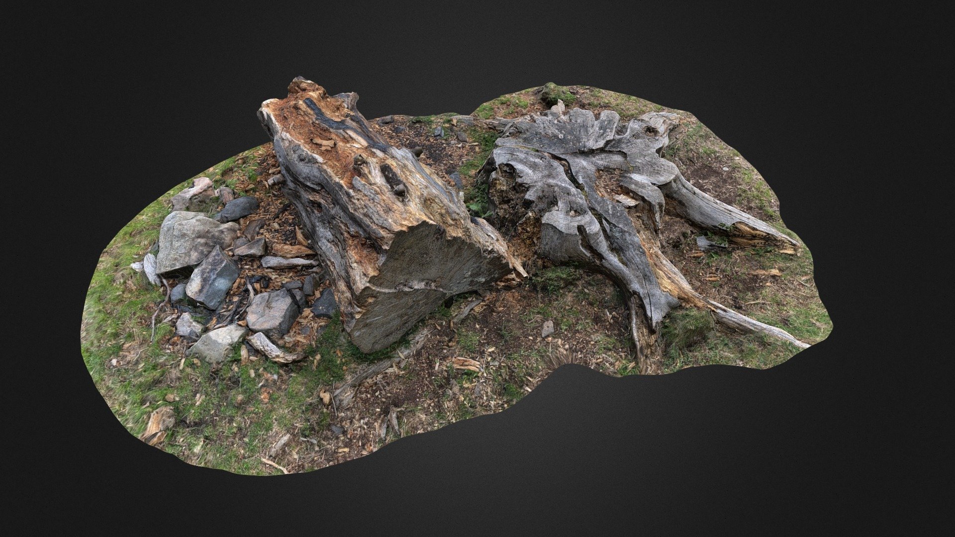 Dead Tree - 3D model by Bastien.Poulain [c9e709f] - Sketchfab