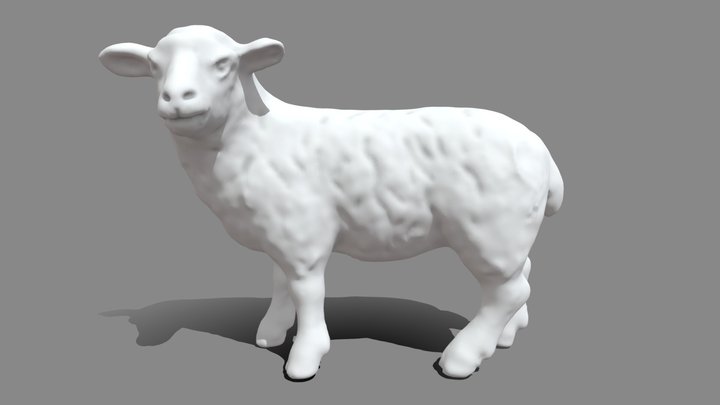 Sheep 3D models - Sketchfab