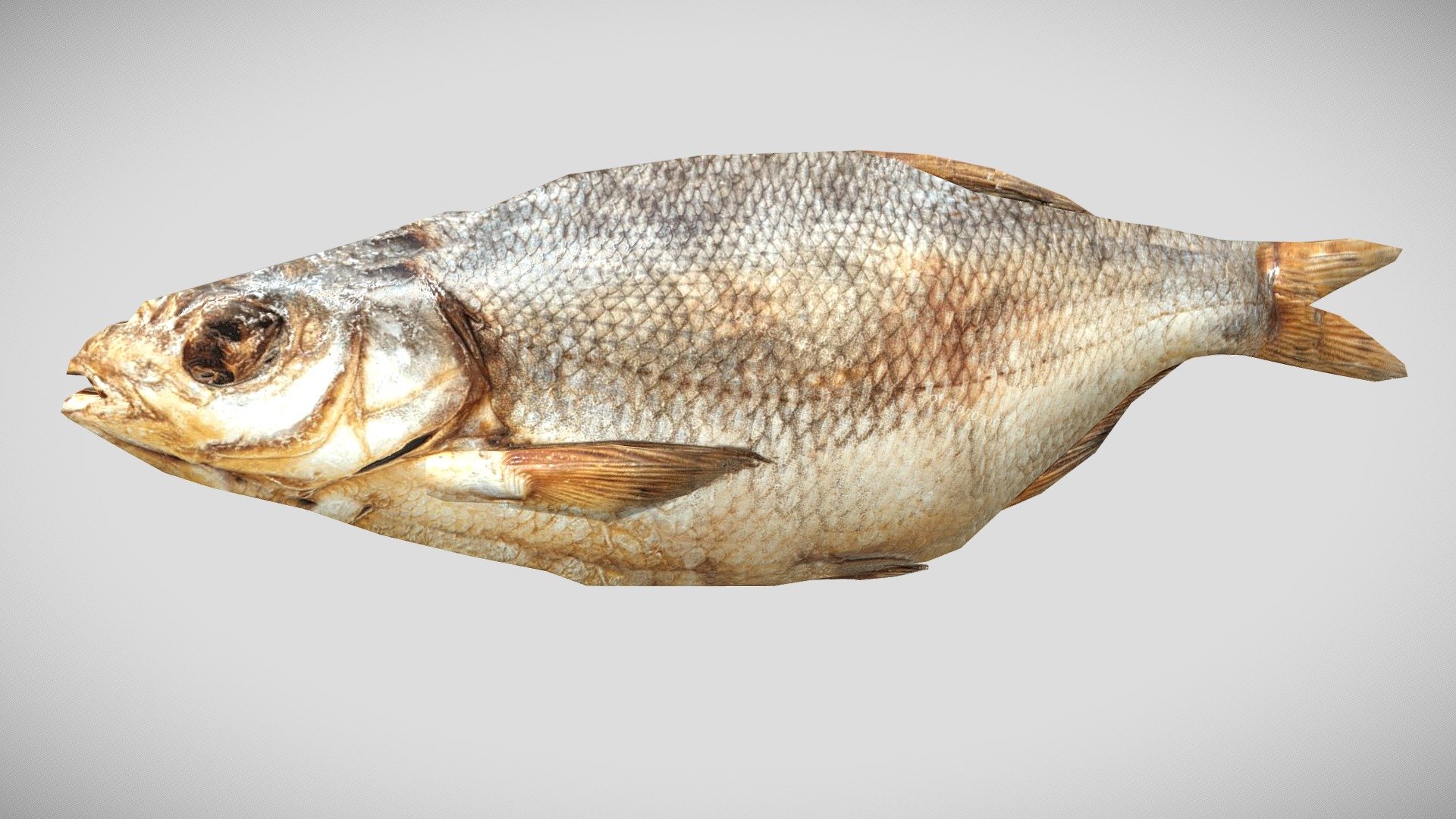 Рыба сушеная | Dried fish - 3D model by prestupnikn1 [c9f69d4] - Sketchfab