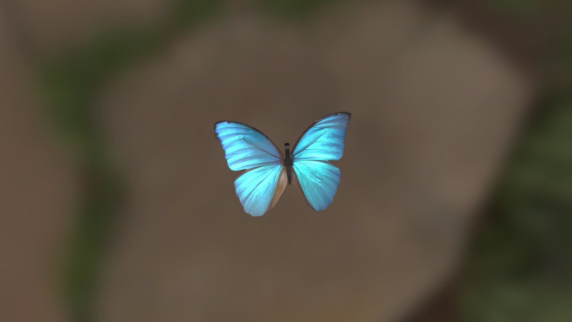 BLUE MORPHO - 3D model by JonathanSvanberg [c9fb160] - Sketchfab