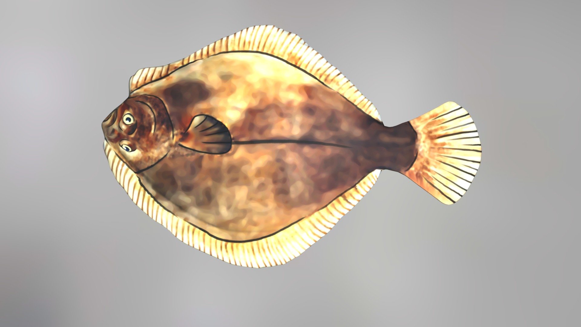Plaice - Buy Royalty Free 3D model by digikstudio [c9fe5dd] - Sketchfab ...