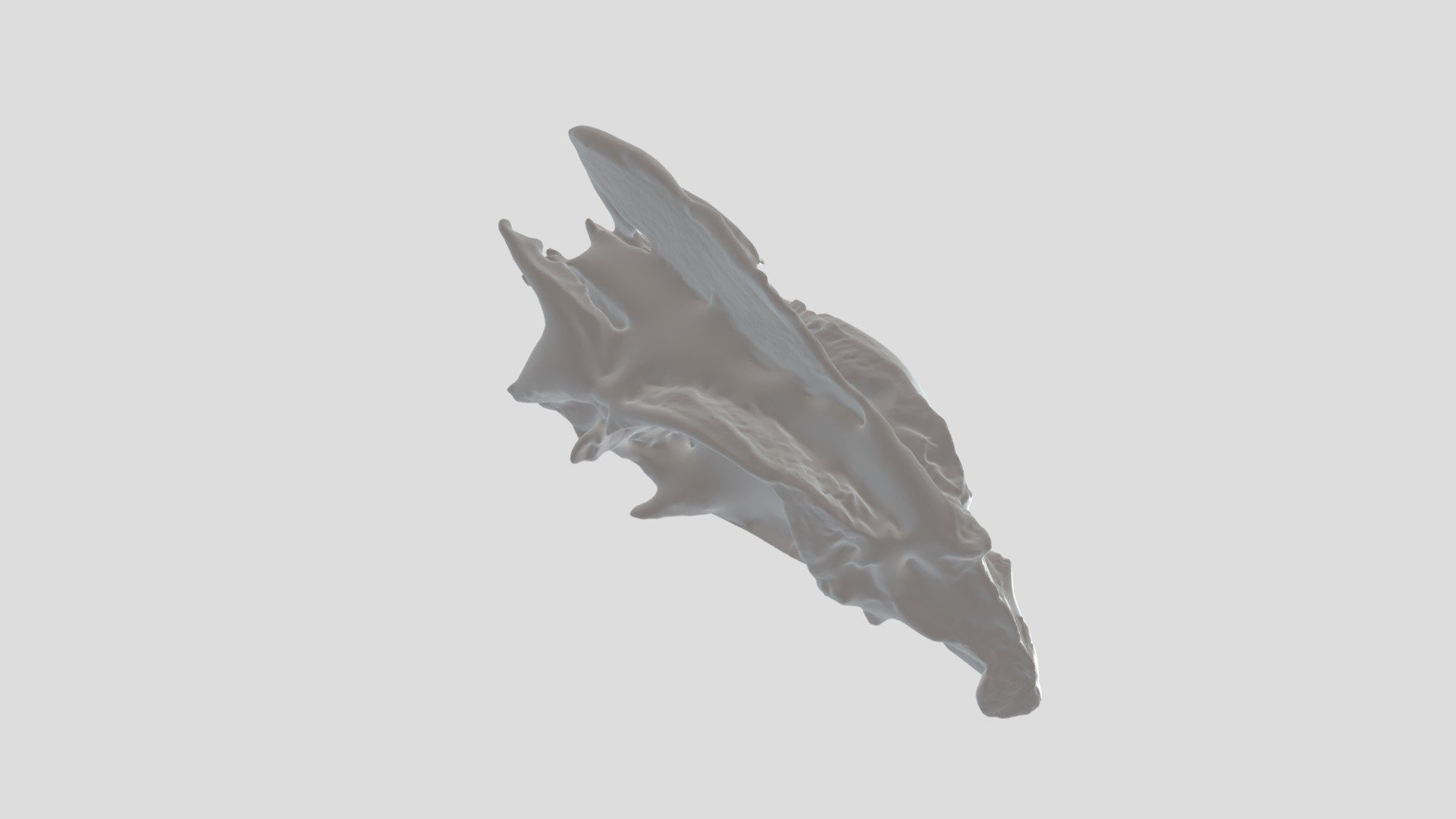Skylar Olsen Yellowtail Snapper Skull Scan - 3D model by so558 [ca02b7a ...