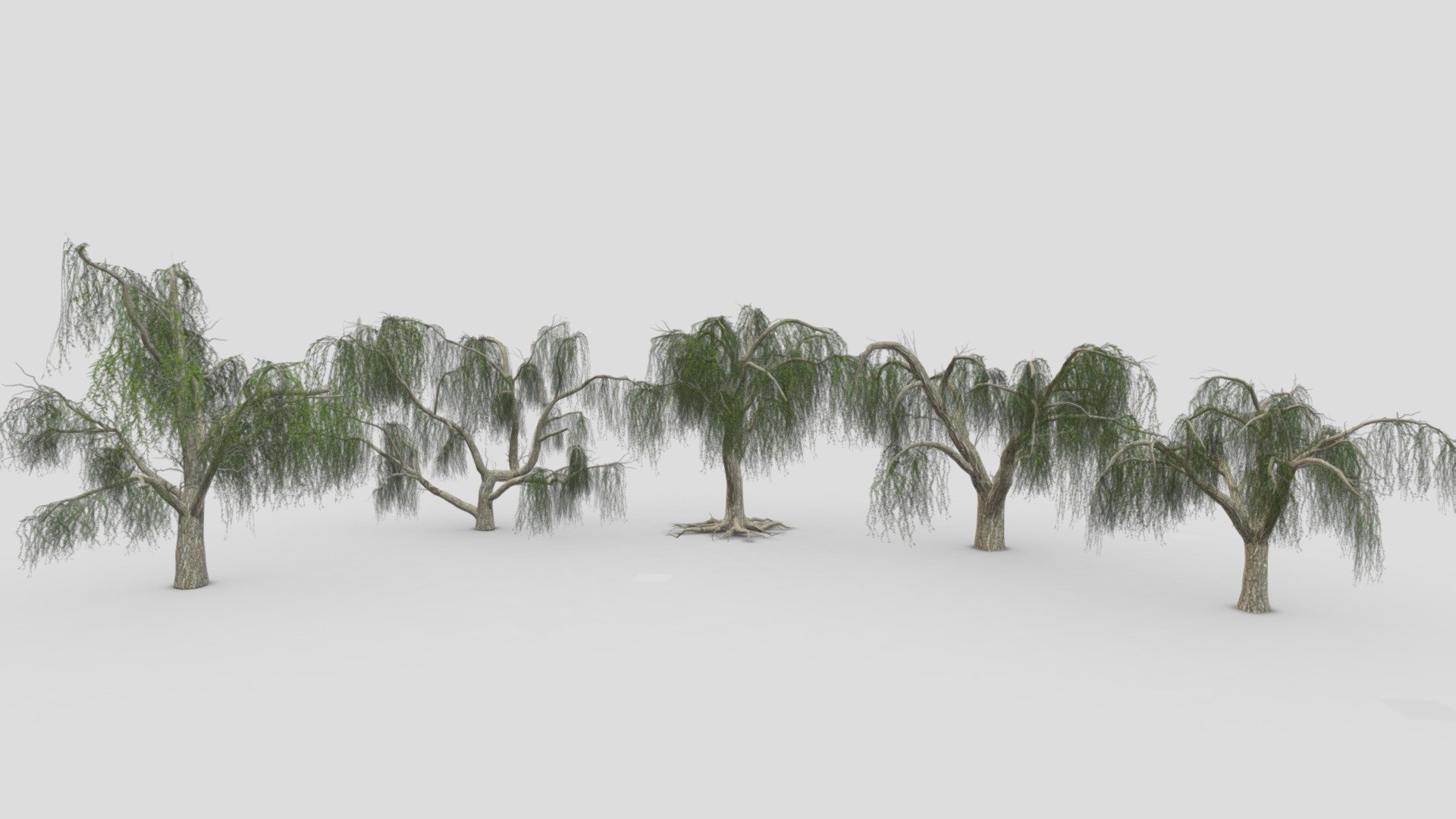Weeping Willow Tree Pack-P2 - Buy Royalty Free 3D model by ASMA3D ...