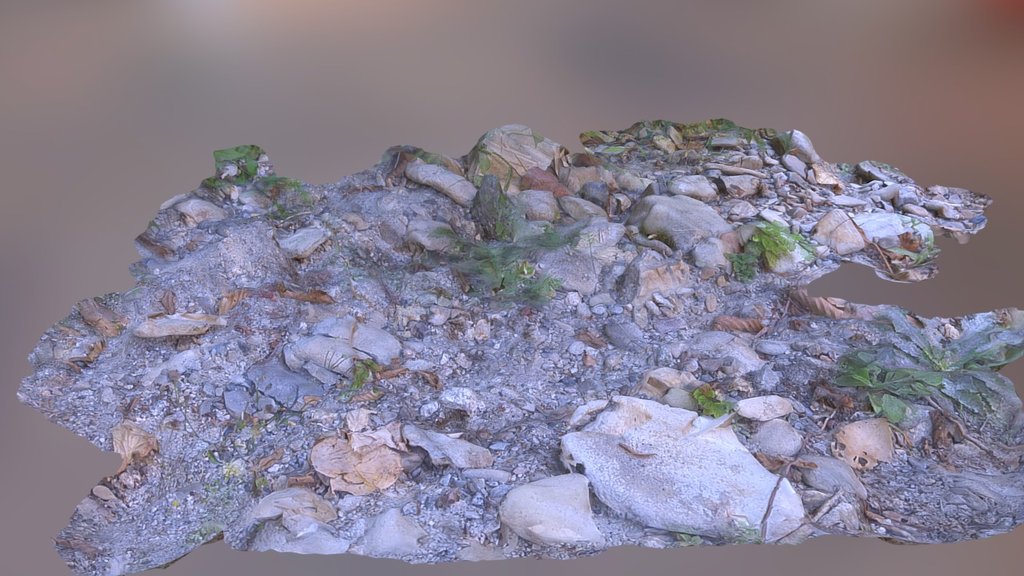 Creek Bed - 3D model by Larseroo [ca0dca6] - Sketchfab
