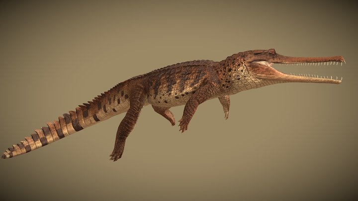 Crocodile 3D models - Sketchfab