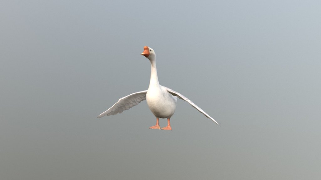 goose - 3D model by Movect_Studios [ca1163f] - Sketchfab