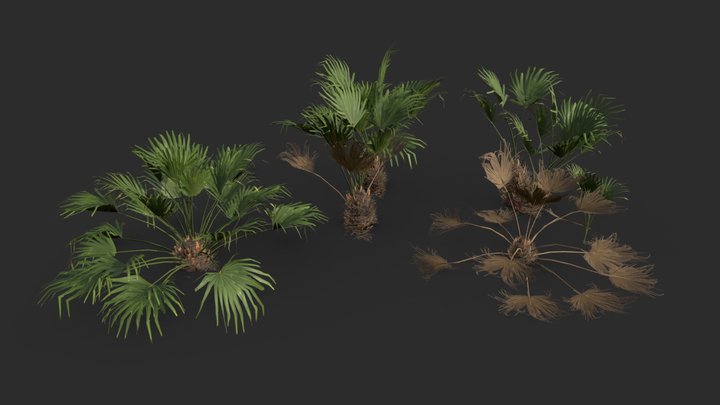 Bush 3D models - Sketchfab
