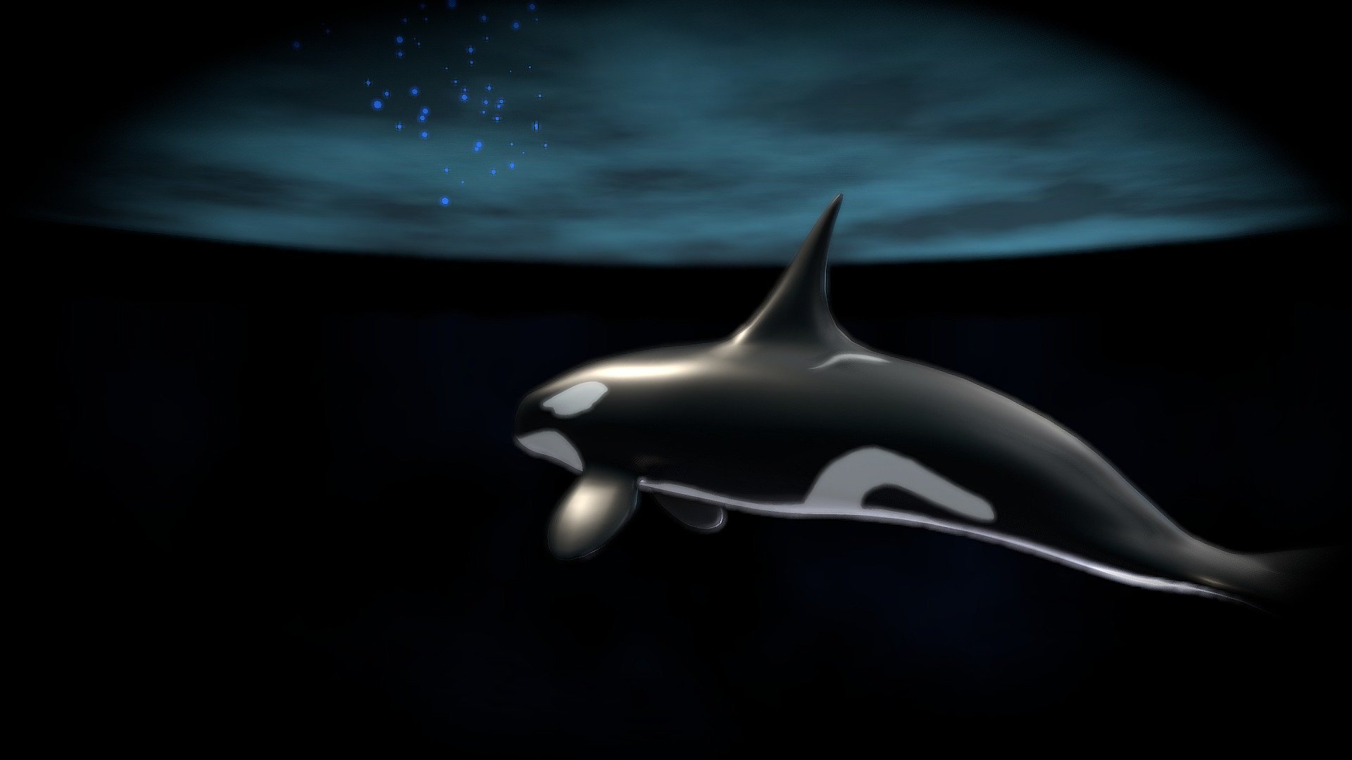 Orca - Download Free 3D model by Kimagure_Cookie (@k_cookie) [ca1a5c8 ...
