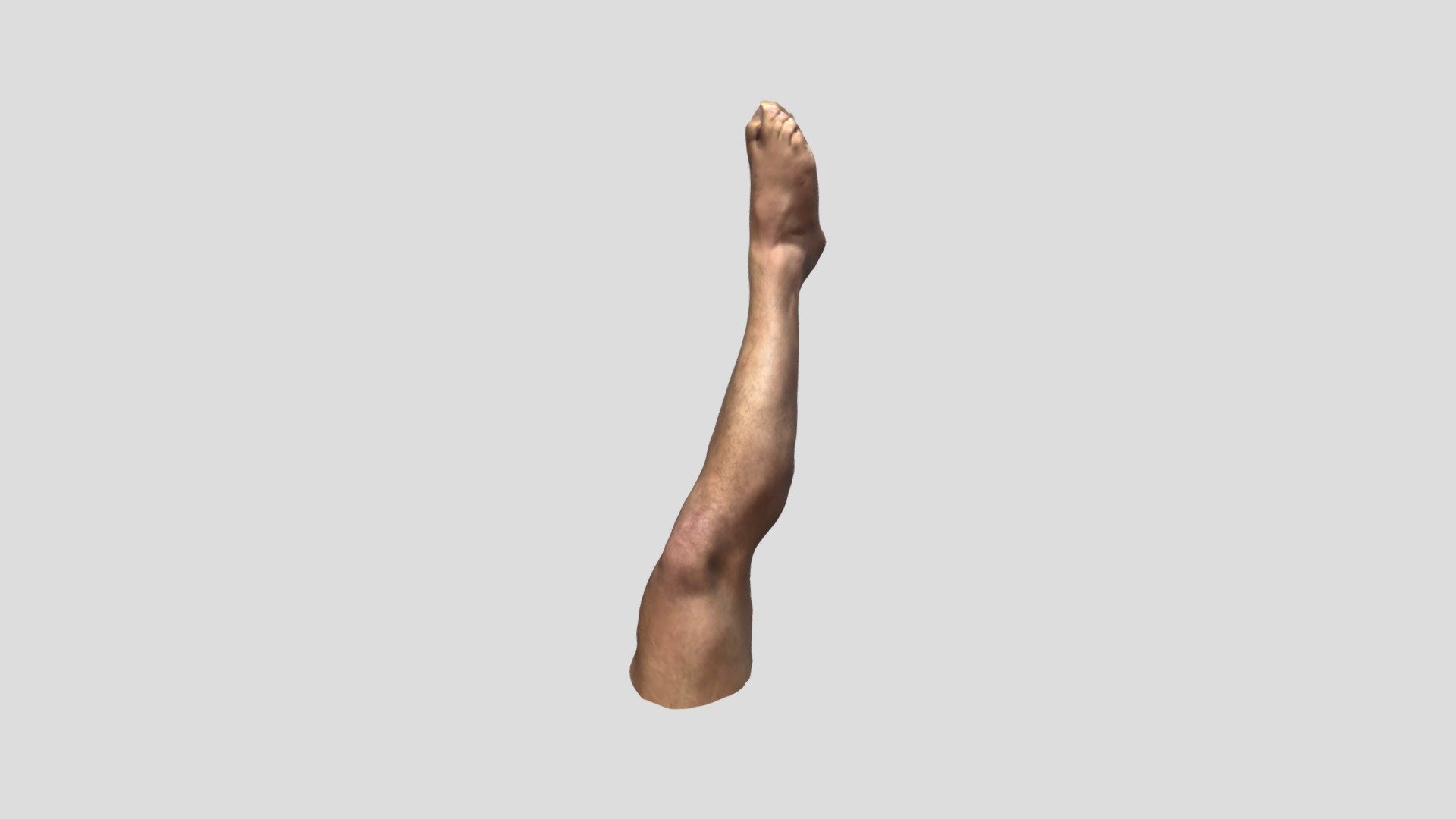 Leg - Download Free 3D model by Peter_G (@metal_soup) [ca20093] - Sketchfab