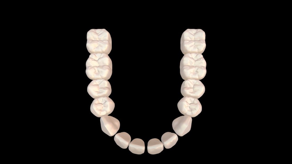 Mandibular Arch - 3D model by ImproViz [ca2023f] - Sketchfab