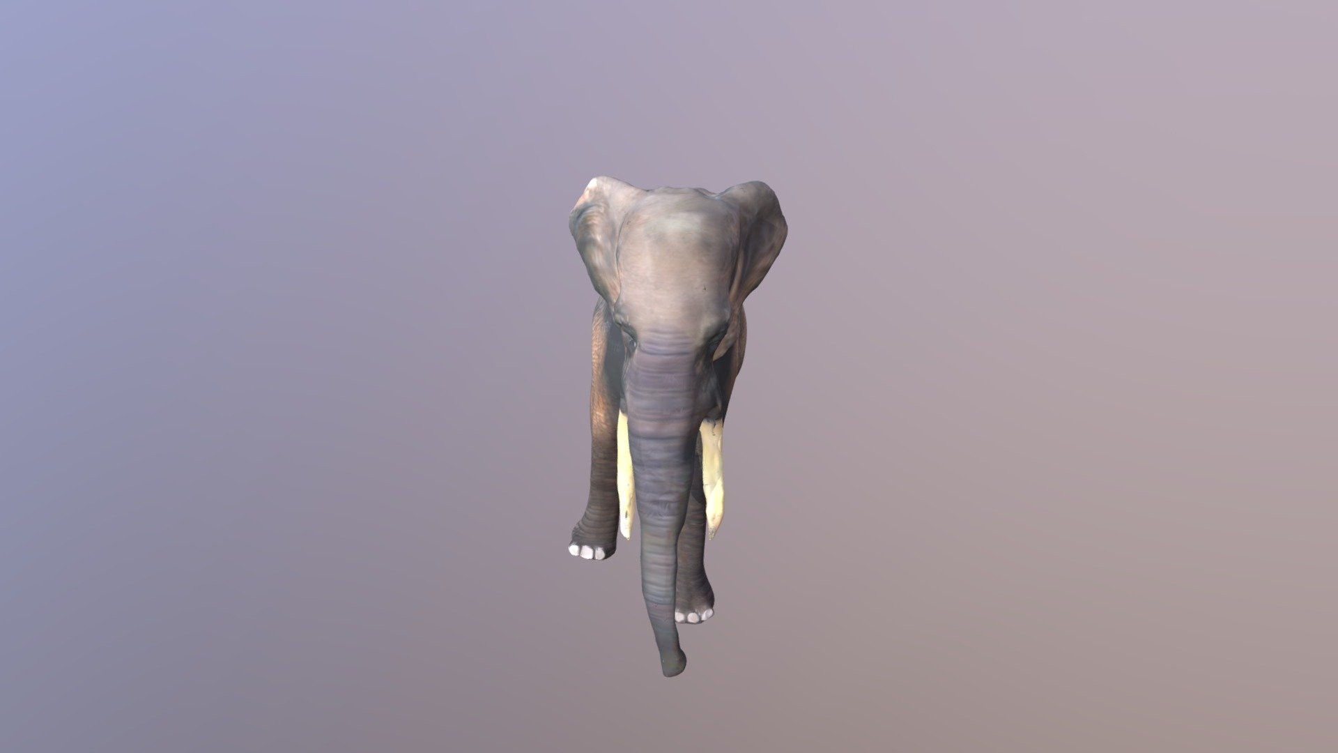 Elephant Model 3.0 - 3D model by dominic.e.sanchez.2011 [ca2327d ...