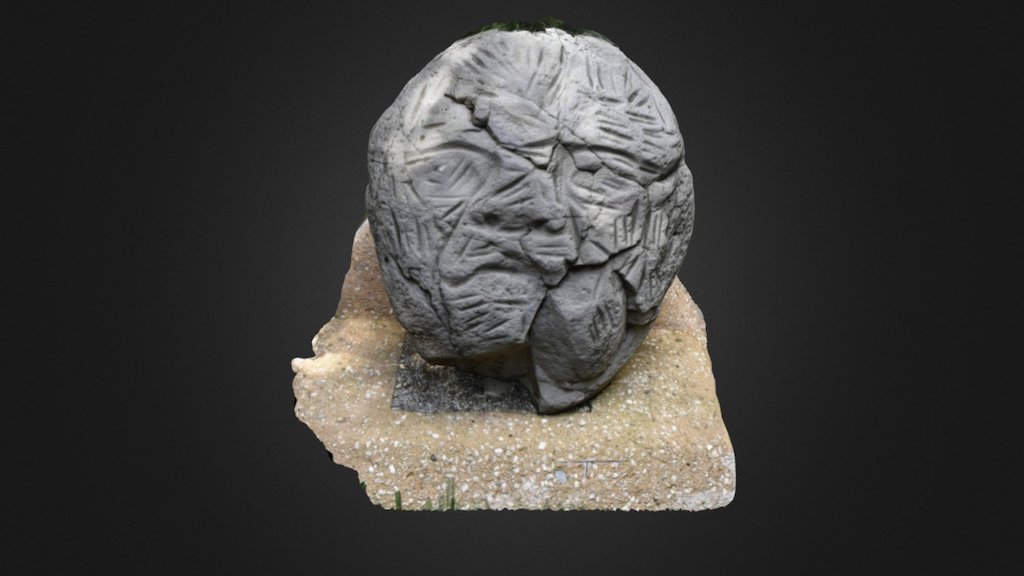 Strange Head - 3D model by rmark [ca23914] - Sketchfab