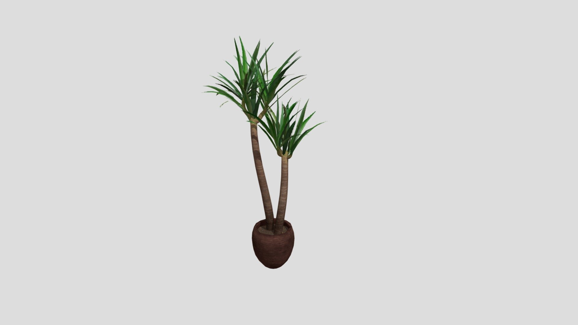 Yucca plant - 3D model by TreasuredTeam [ca26963] - Sketchfab