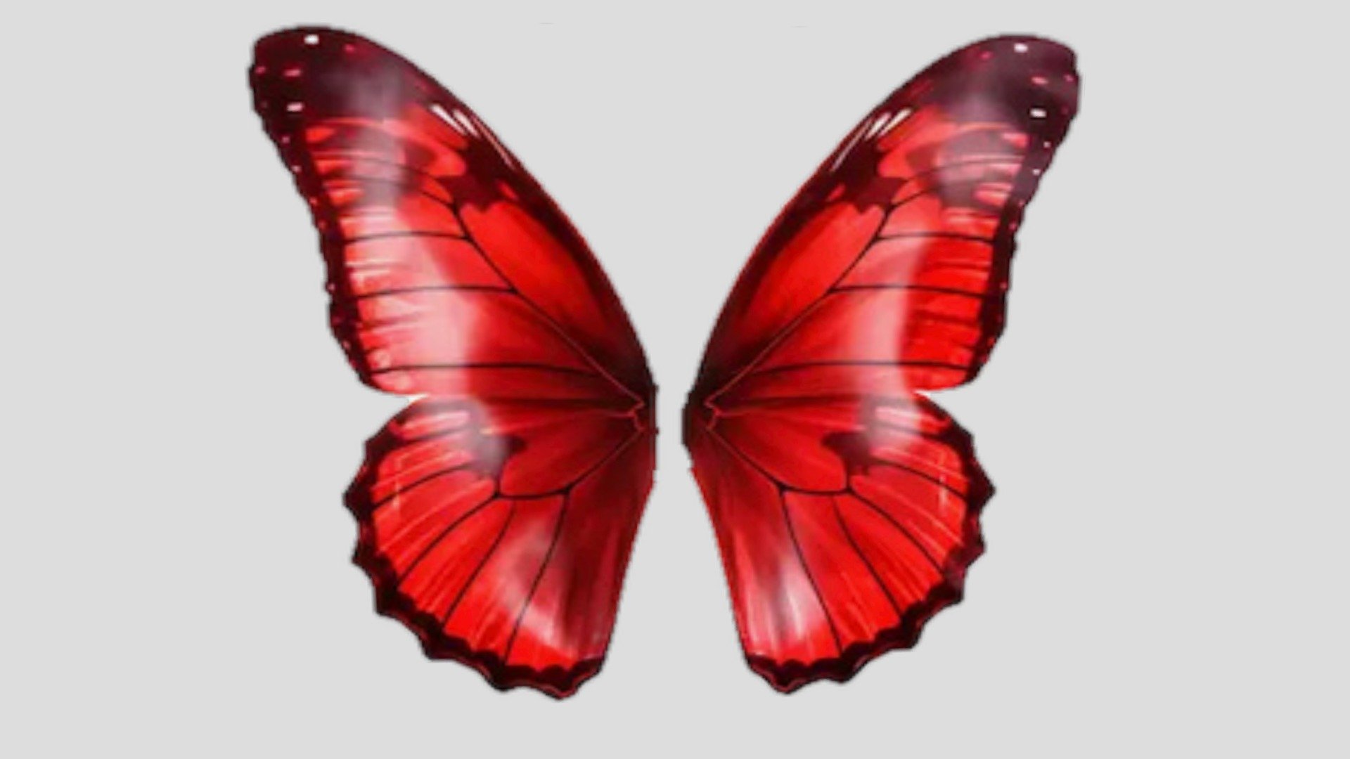 Butterfly wings - Download Free 3D model by Cybertron B-127 (@robo ...