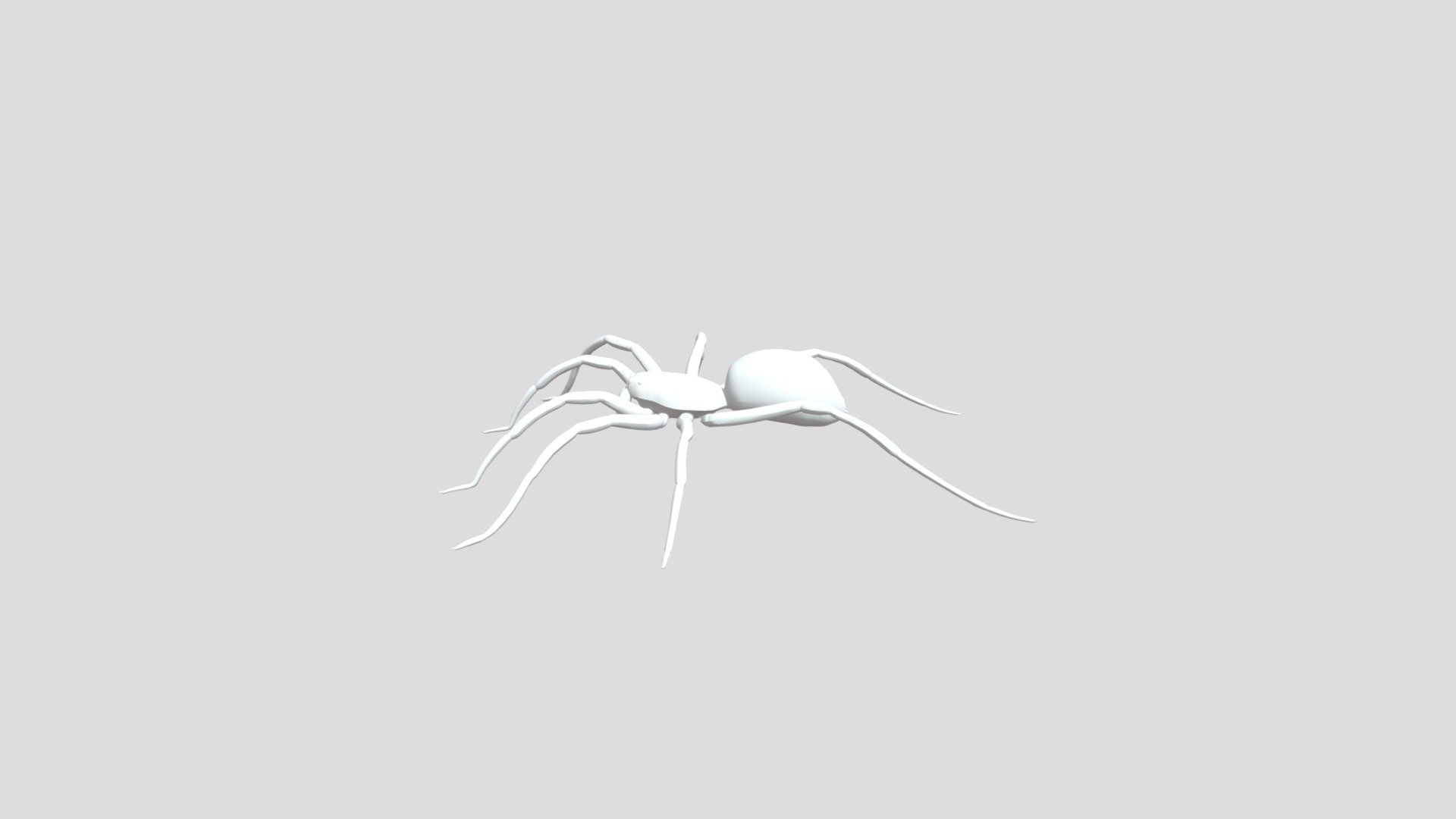 Spider - Download Free 3D model by Ryu (@dabhi.das916) [ca2e83c ...