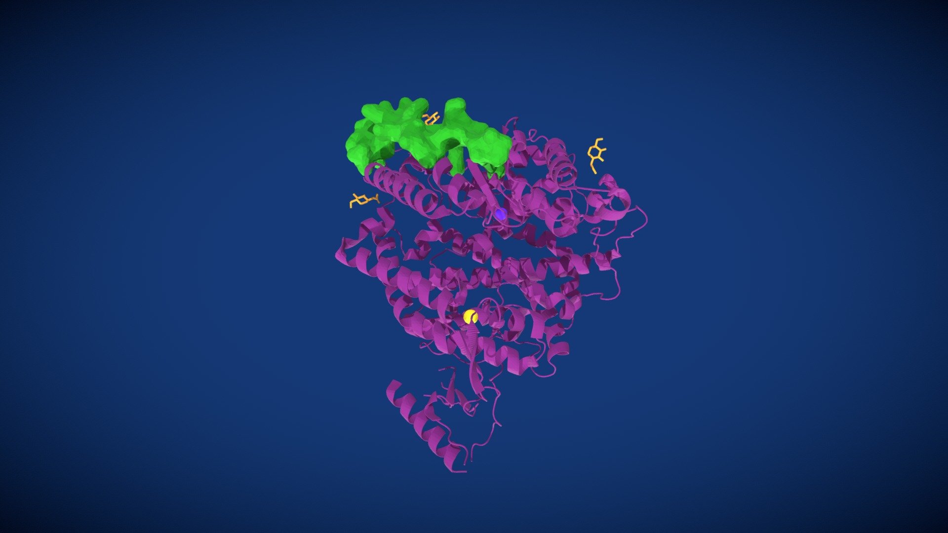 ECA-2 - 3D model by cursosbiouaq [ca3062c] - Sketchfab