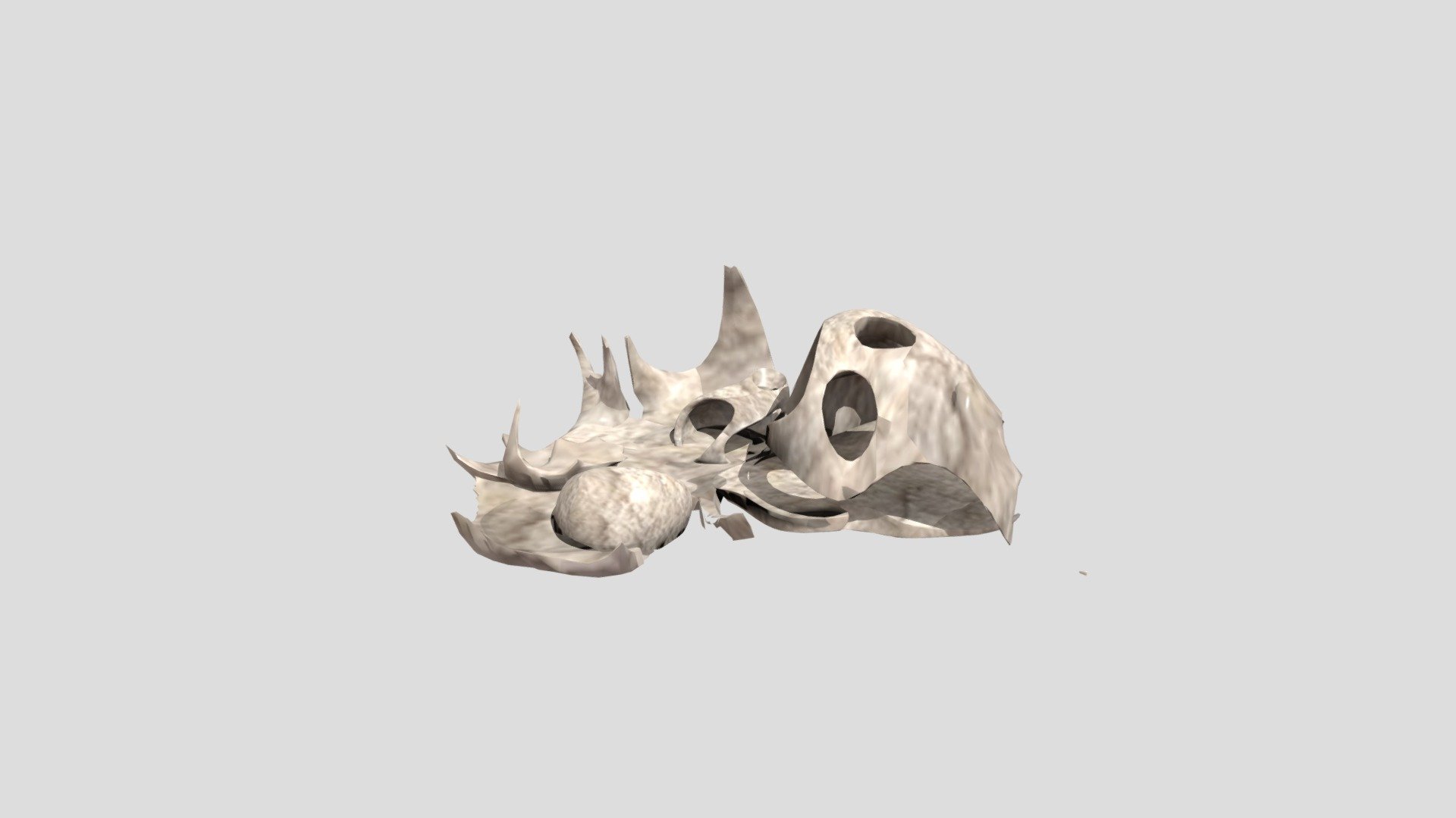Mycelium-edit - 3D model by susmd [ca33344] - Sketchfab
