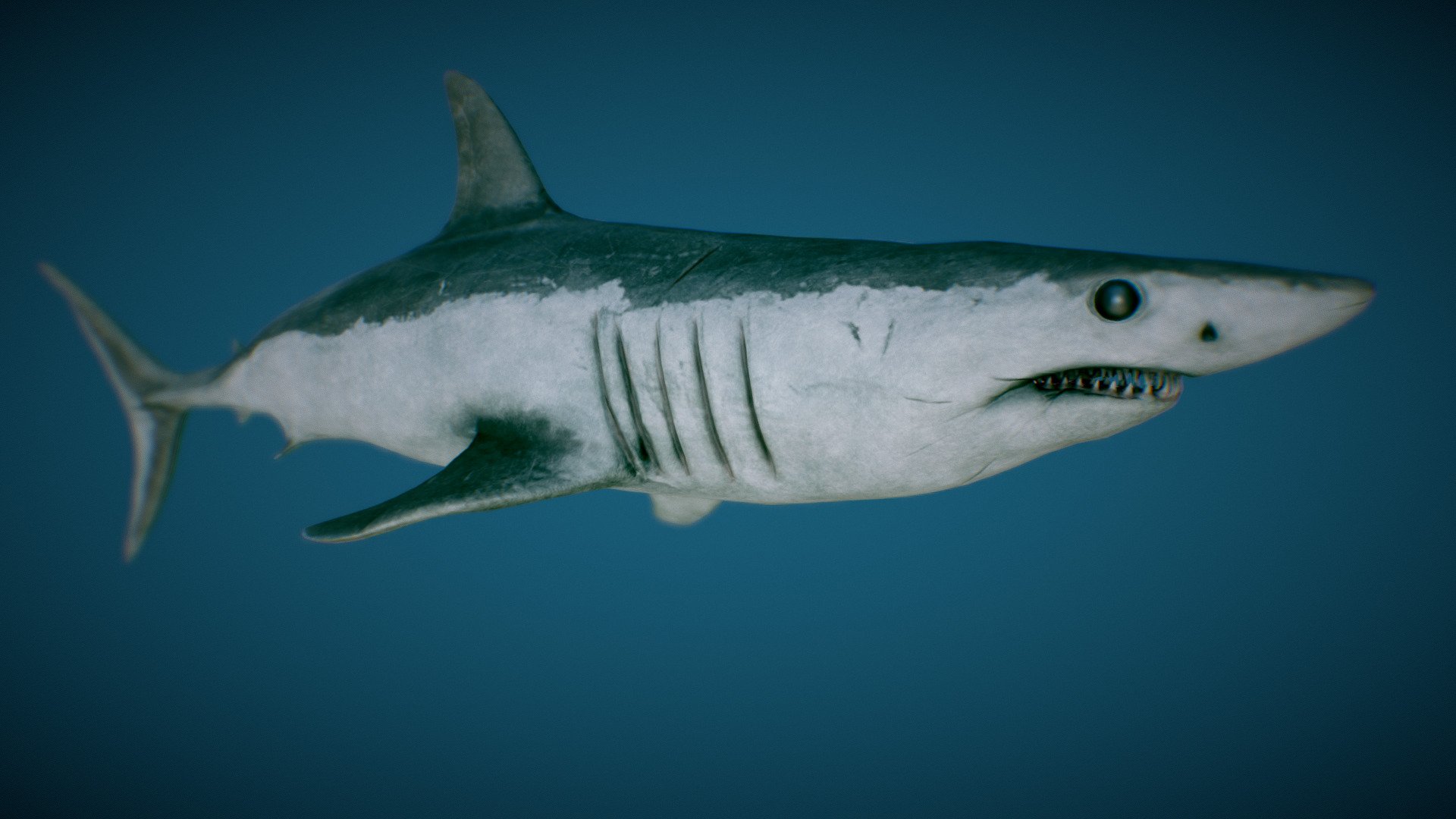 Mako Shark - Buy Royalty Free 3D model by Viverna (@Viverna_362 ...