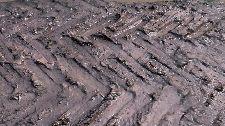Puddle 3D models - Sketchfab