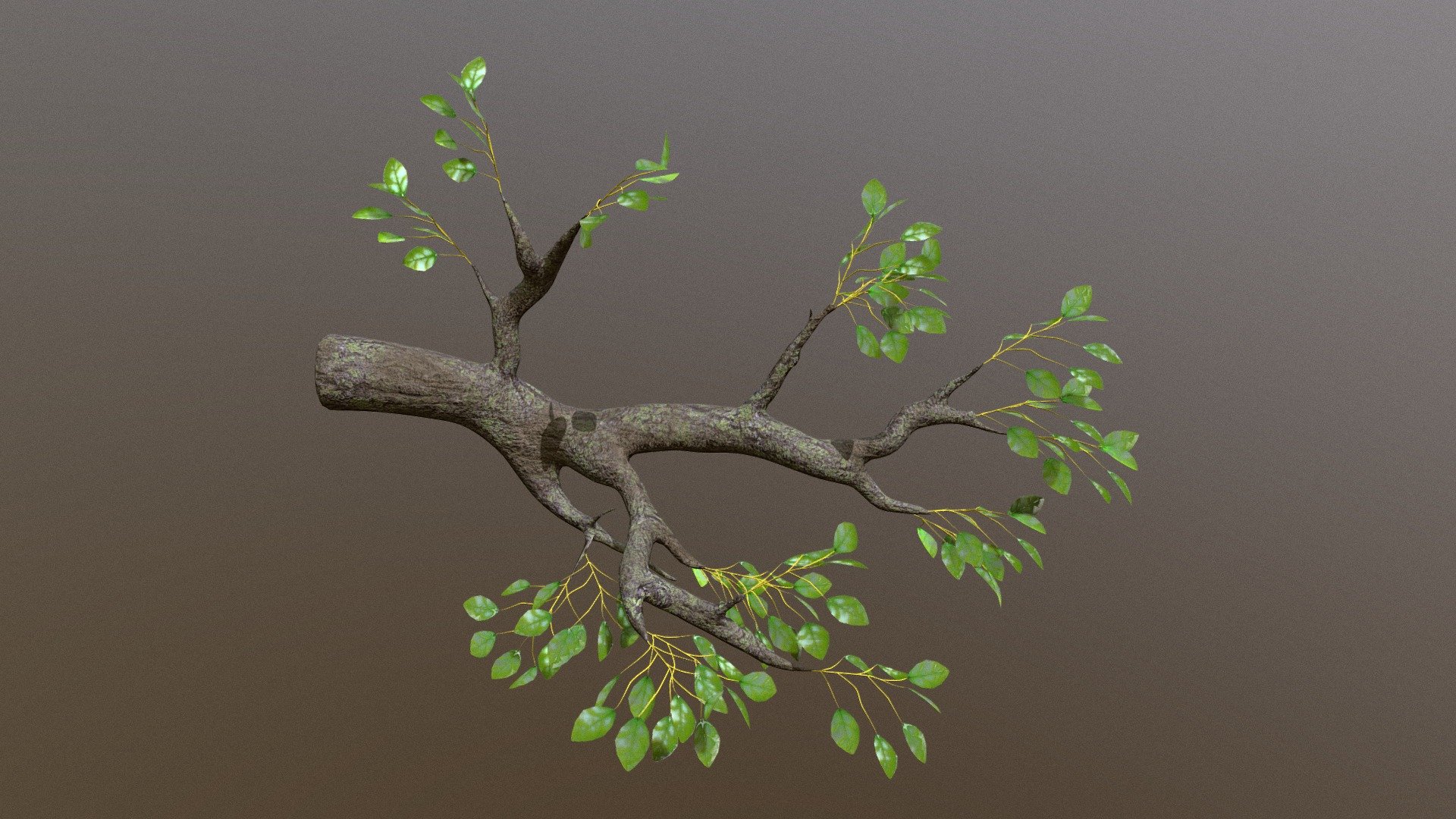 Tree Branch Download Free 3D Model By Angelina angelinart ca41052