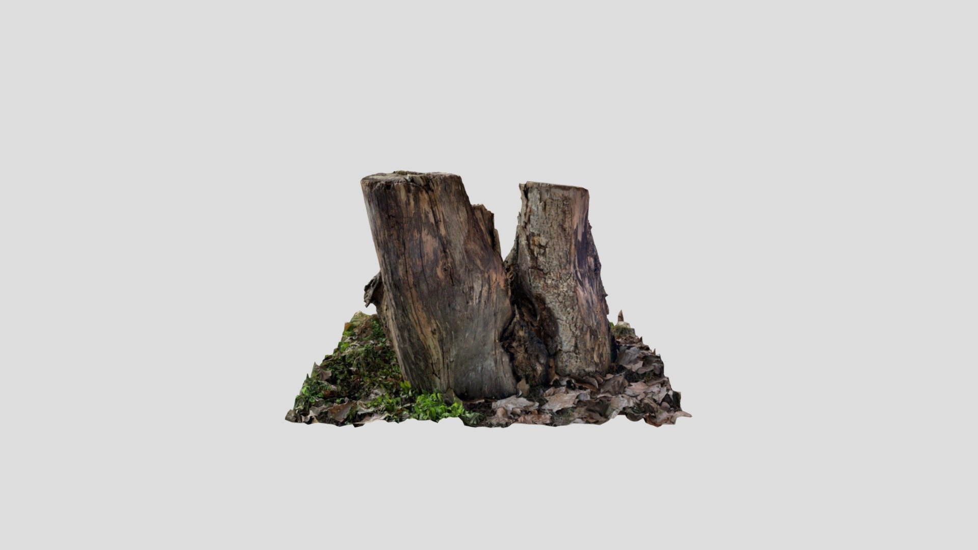 Wood stump - Download Free 3D model by n3rd0710 [ca41c3b] - Sketchfab