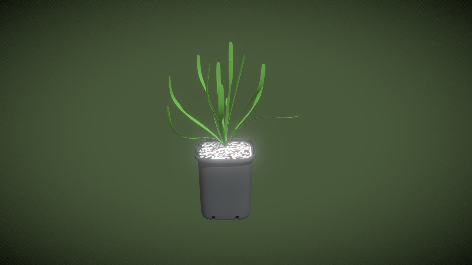 Sundew (Drosera) - Buy Royalty Free 3D model by Blenduffo [ca4e39c ...