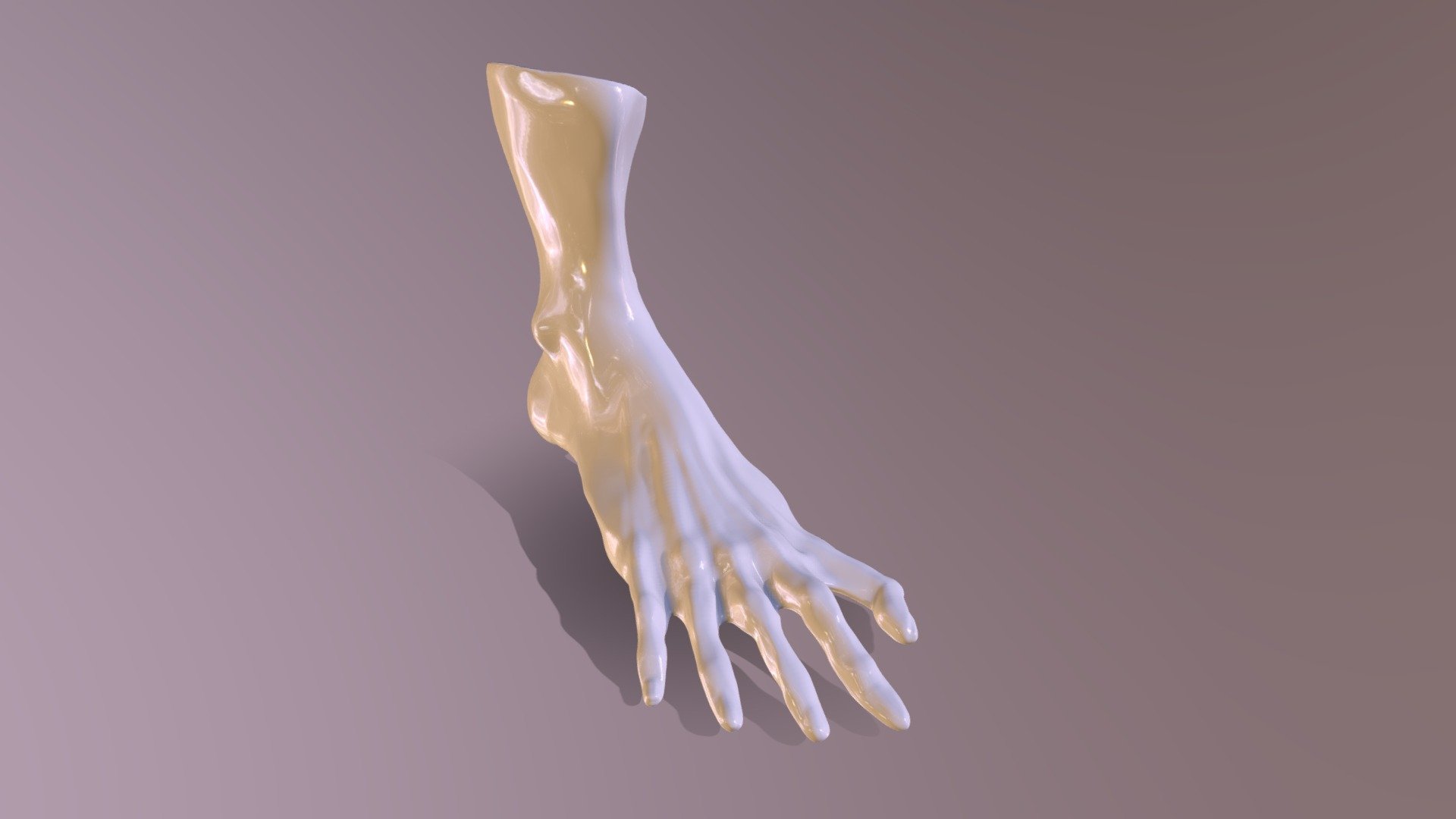 Fingertoes - 3D model by aflac [ca549a4] - Sketchfab