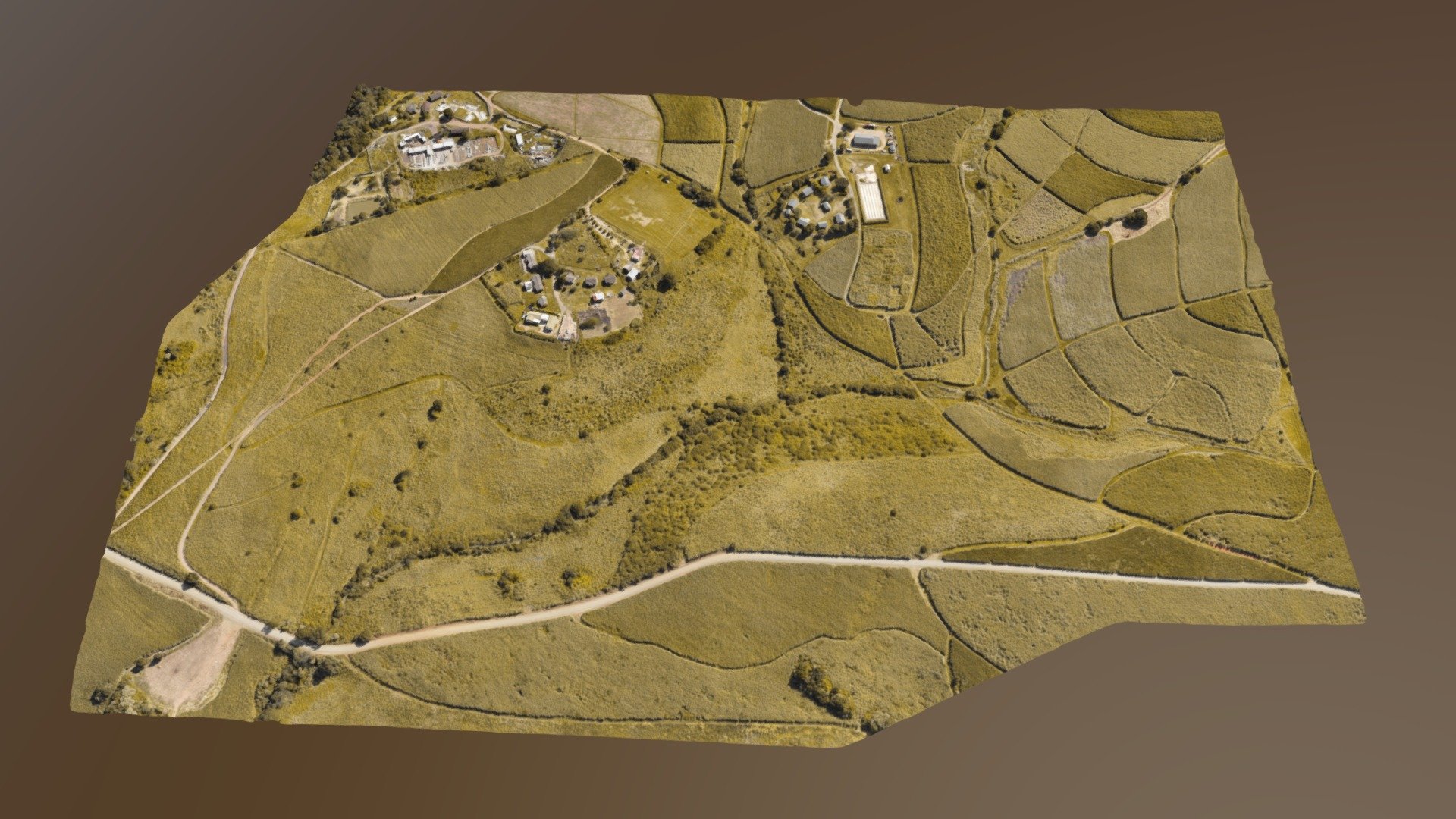 Sugarcane - 3D model by OPTRON [ca5852e] - Sketchfab