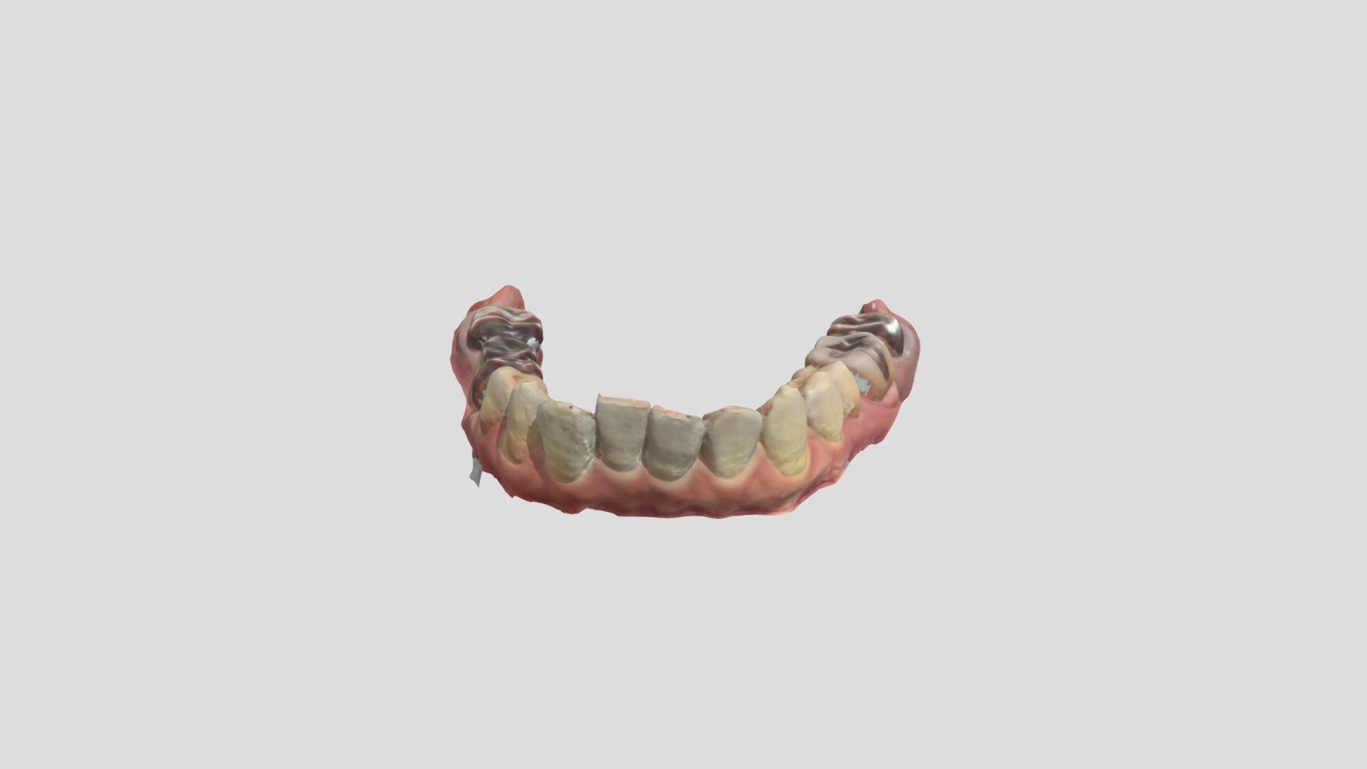 63219490_shell_teethup_l - 3D model by takano_hide [ca64b9a] - Sketchfab