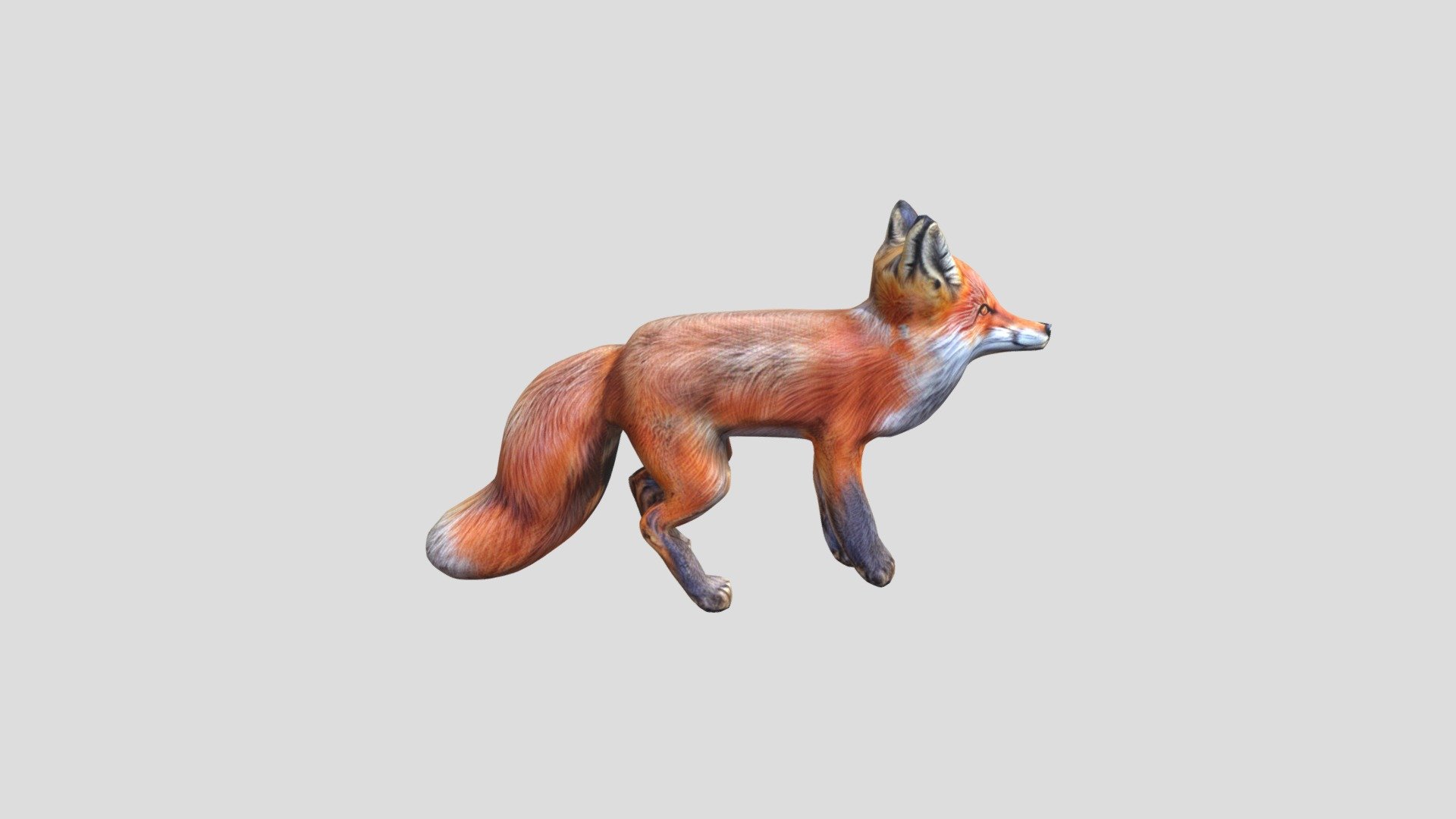RED FOX - 3D model by faerbogdan99 [ca65974] - Sketchfab