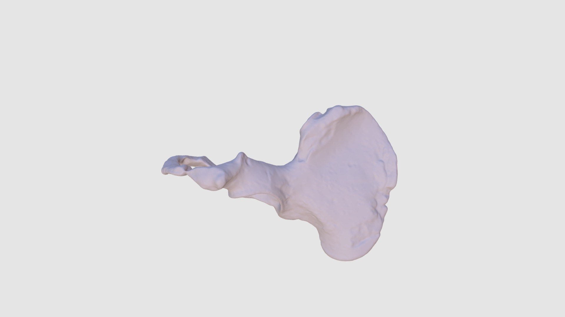 Sts14 Right Hip - 3D model by Dartmouth (@dartmouth-college) [ca6a5a9 ...