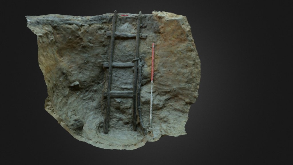 Late Roman or Early Saxon ladder - 3D model by Archaeological Services ...