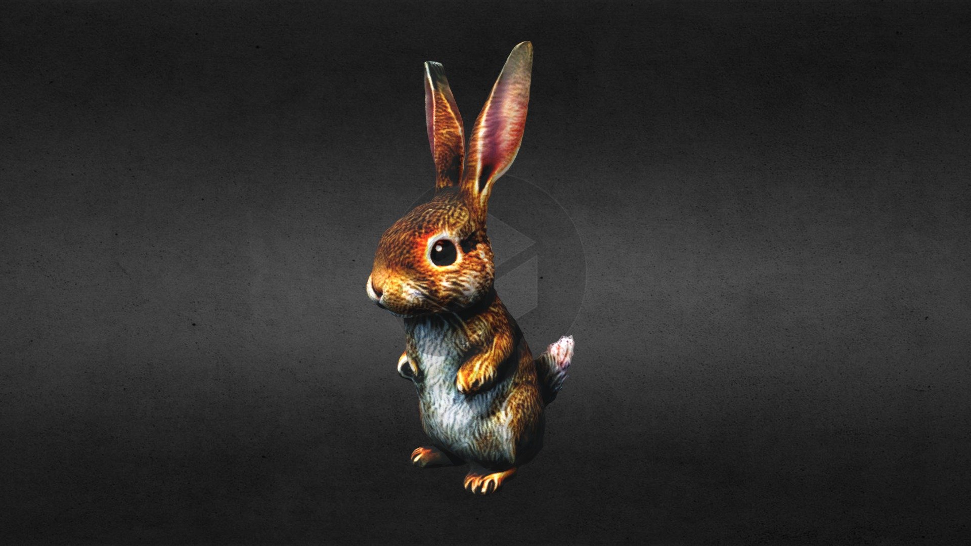 Cute bunny - Buy Royalty Free 3D model by GAM3D (@gam3d.engine ...