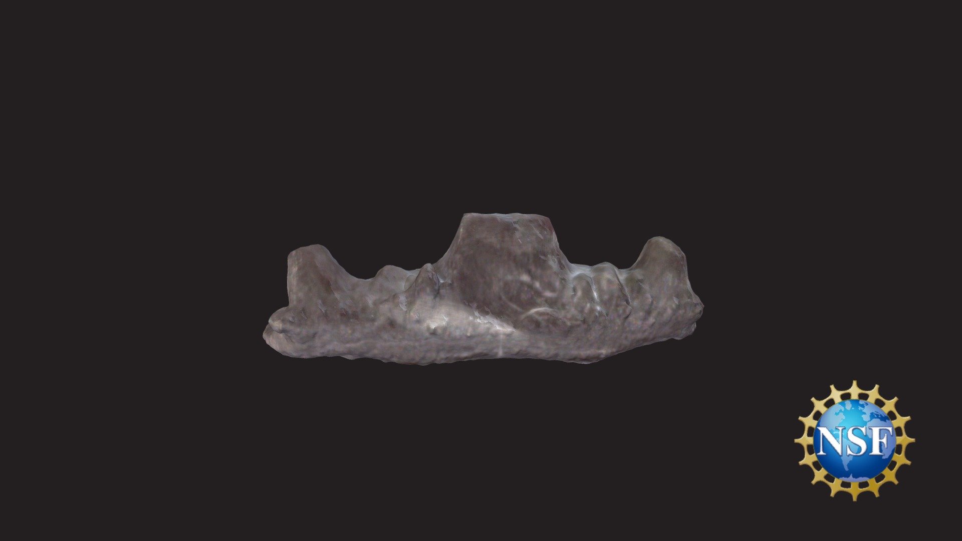 CMNH 6916, shark tooth - 3D model by Cleveland Museum of Natural ...