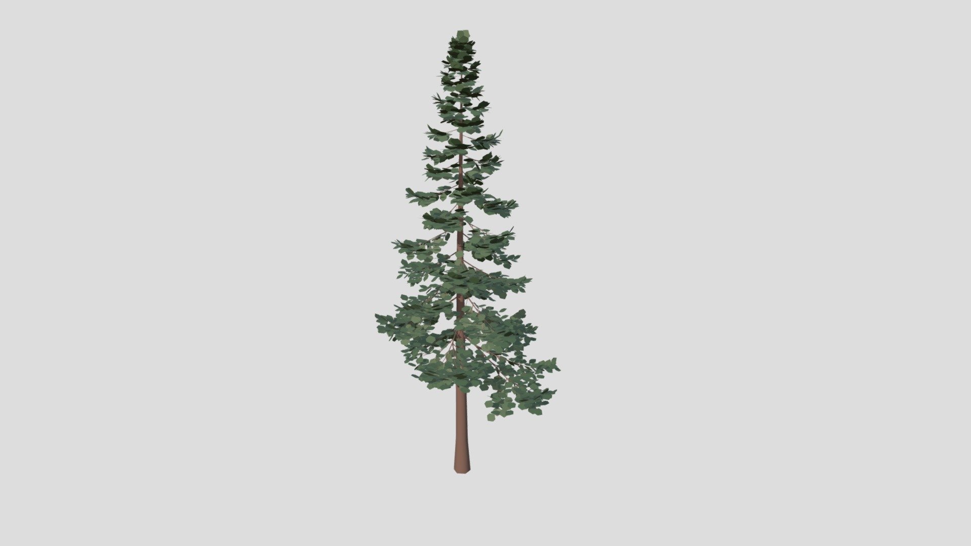 stylized conifer tree - 3D model by AustinSterling [ca8abda] - Sketchfab