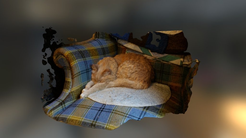 Sleeping Cat - Download Free 3D model by 320x200 [ca9430d] - Sketchfab