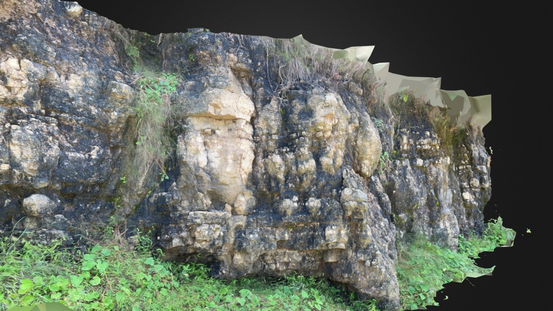 Cliff Face_2 - Download Free 3D model by Asif Janjua (@asifjanjua ...