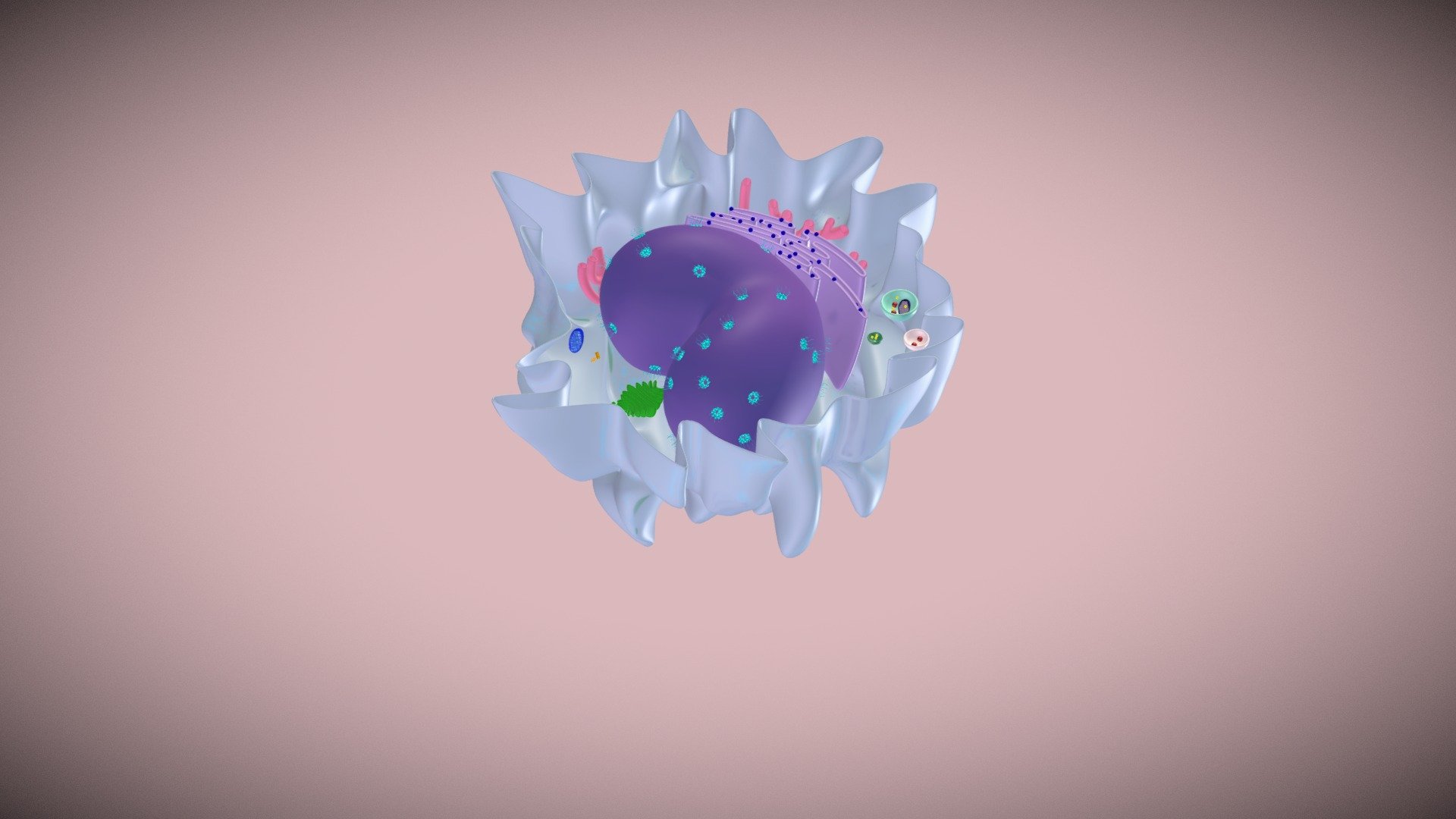 Monocyte - 3D model by daniellejsternberg [ca9a4f1] - Sketchfab