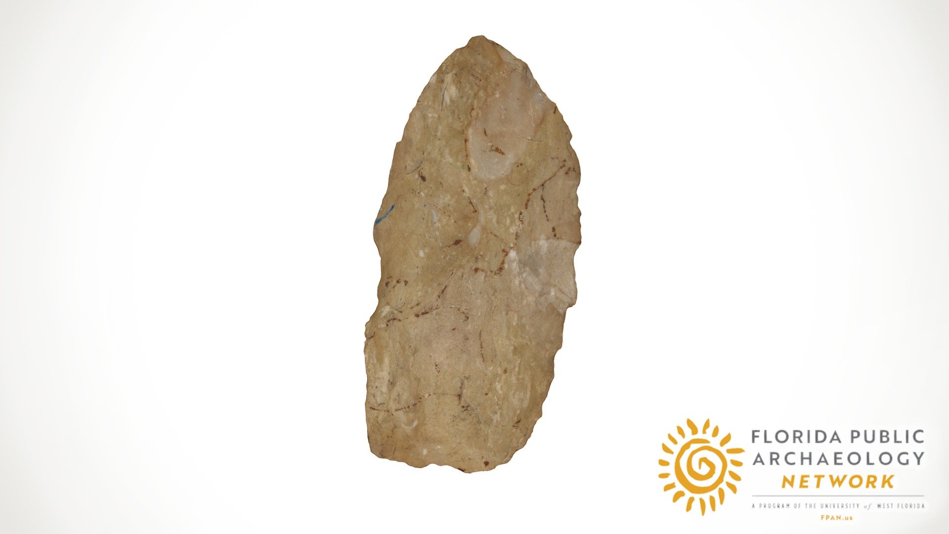 Biface - Download Free 3D model by Florida Public Archaeology Network ...