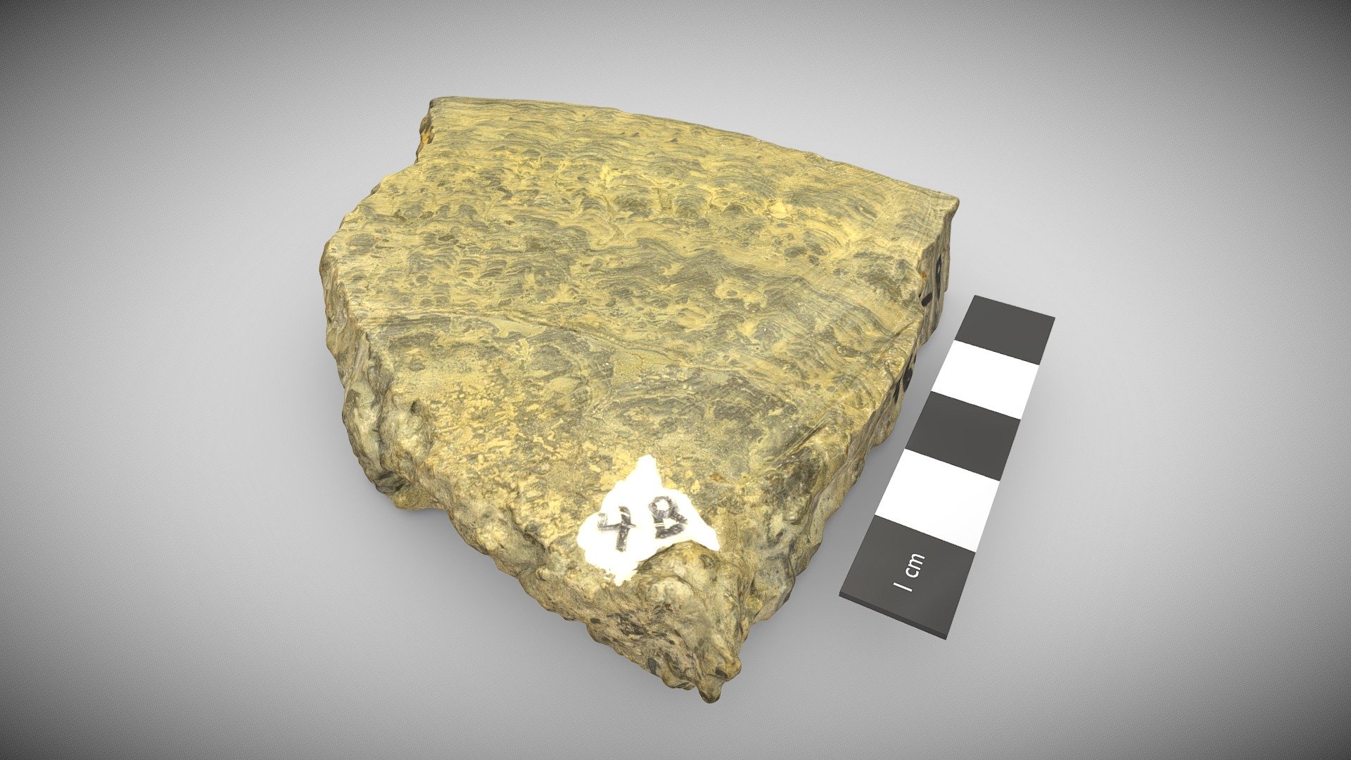 Stromatolites - 3D model by UQ School of Earth and Environmental ...