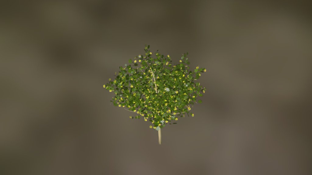 Tree - 3D model by Huang Lu (@ronanmission) [caaa706] - Sketchfab