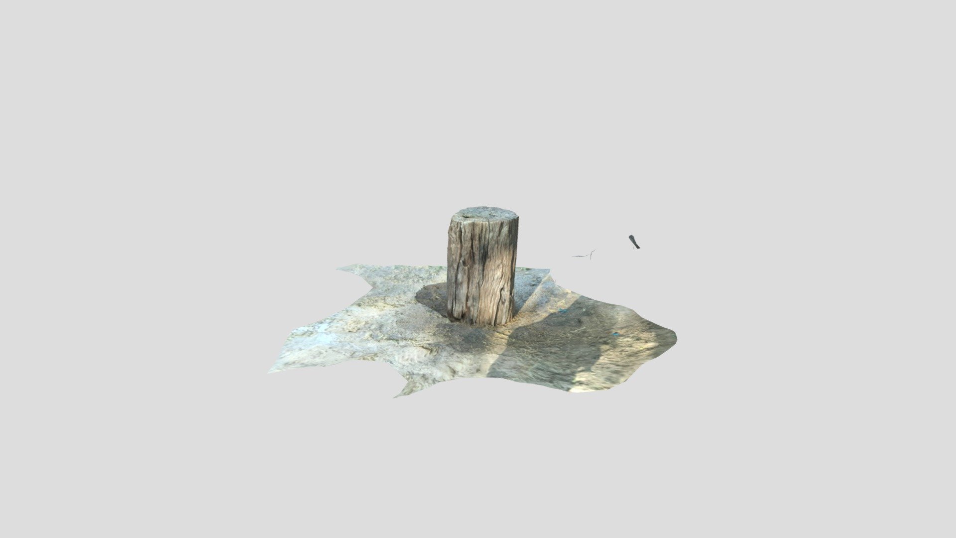 tree trunk - 3D model by anshul.agrawal.sod22 [cab2585] - Sketchfab