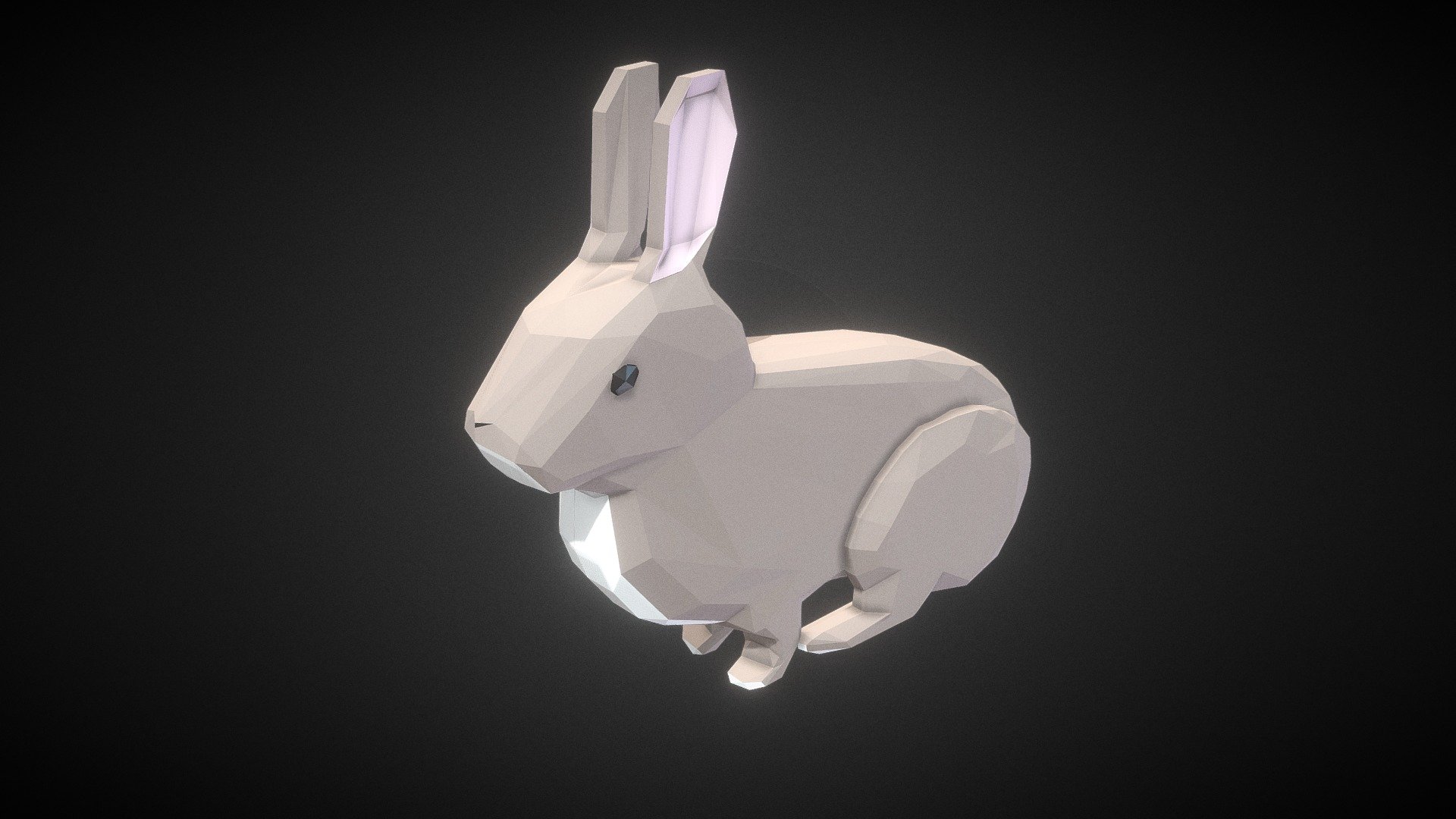 Rabbit - Download Free 3D model by Tiko (@tikoavp) [caba07c] - Sketchfab