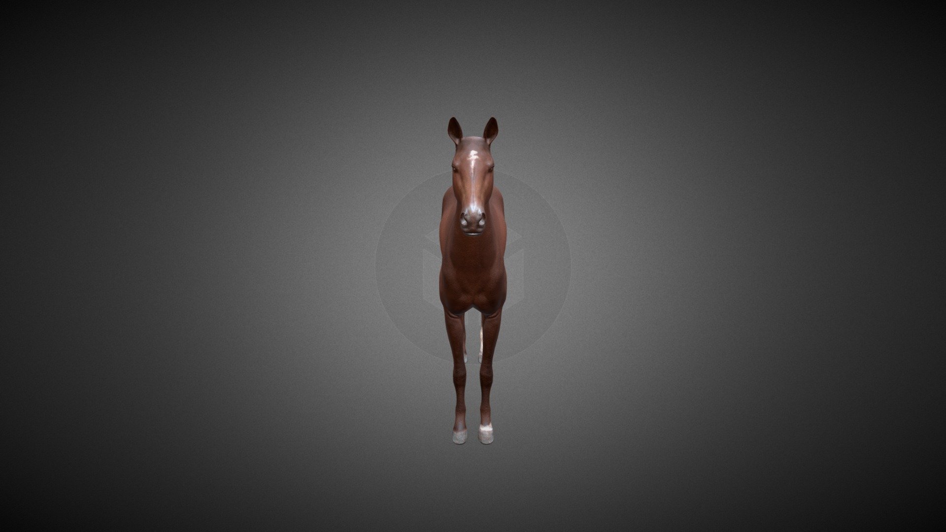 Horse Base For SF - 3D model by benk [cac1cdb] - Sketchfab